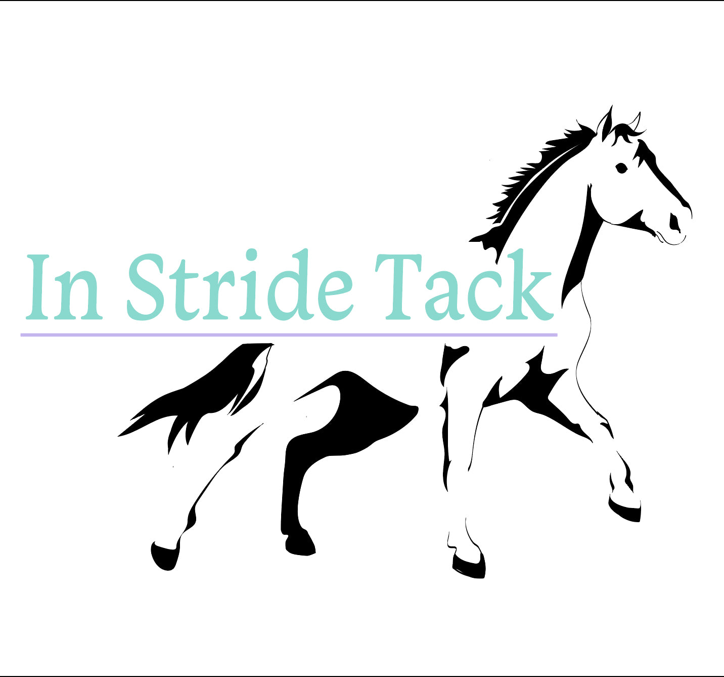 About Us – In Stride Tack